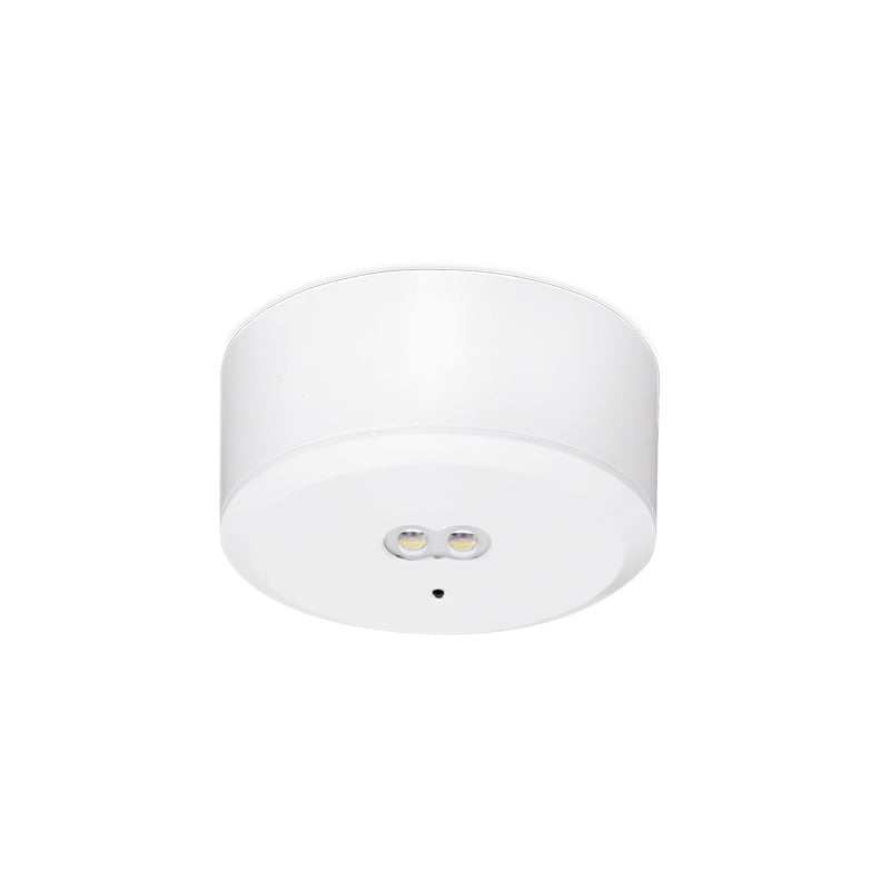 Self Test Surface/Recessed Emergency LED Downlight 3W Aurora | Downlig