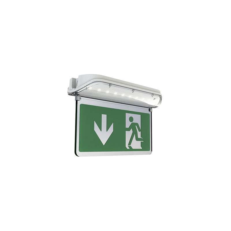 Ansell AHARLED/3M/ST Harrier Down Arrow LED 3M/NM Exit Sign | Downligh